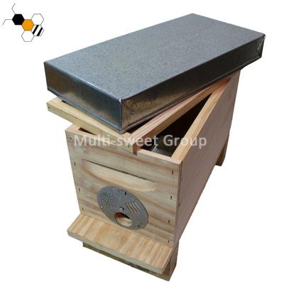 Cina L'inquinamento 4 pagina liberamente la regina dell'abete di 20mm che eleva la scatola di legno di Nuc in vendita