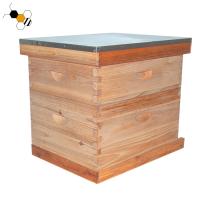 China Moisture Proof Wooden 10 Frame Langstroth Bee Hive for sale