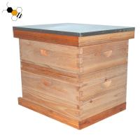China Moisture Proof Wooden 10 Frame Langstroth Bee Hive for sale