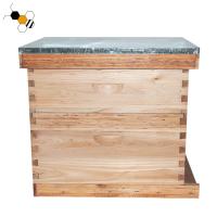 China Moisture Proof Wooden 10 Frame Langstroth Bee Hive for sale