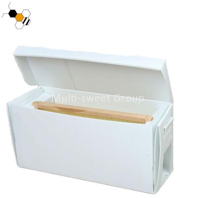 Cina 5 scatola di plastica di Langstroth ondulata Nuc della scatola di Nuc delle strutture 465*208*268mm in vendita