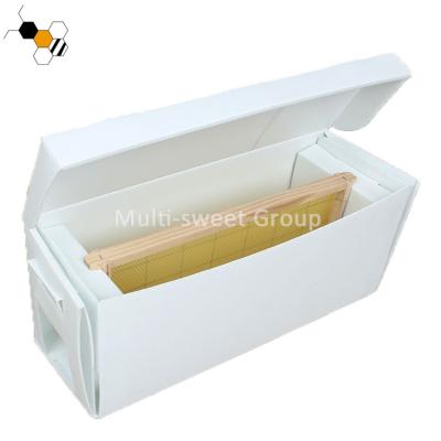 Cina 5 scatola di plastica di Langstroth ondulata Nuc della scatola di Nuc delle strutture 465*208*268mm in vendita