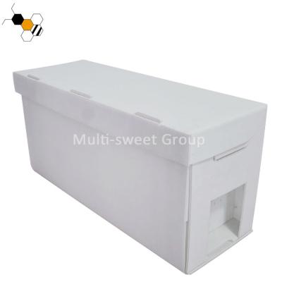 Cina 5 scatola di plastica di Langstroth ondulata Nuc della scatola di Nuc delle strutture 465*208*268mm in vendita