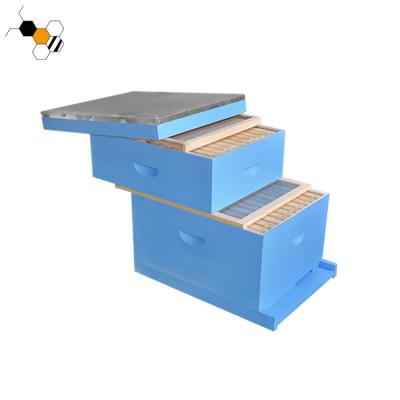 Cina Colore blu di legno 4 strati di Langstroth dell'alveare di legno di pino in vendita