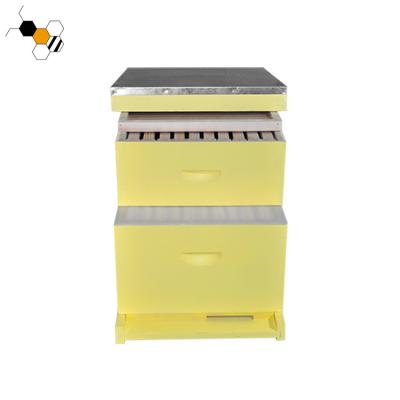 中国 塗られた10のフレームの蜂の農場ミツバチの巣2つの層のLangstrothの 販売のため