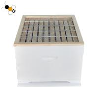 China 20mm Thick 10 Frames White Wood Pine Bee Hive for sale