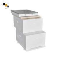 China 20mm Thick 10 Frames White Wood Pine Bee Hive for sale