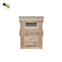 China 32cm 10 Frames Two Layer Beekeeping Fir Wood Beehive for sale
