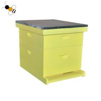 China 20mm Thickness Fir Painted Yellow Langstroth Bee Hive for sale