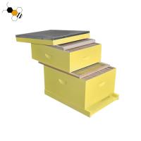 China 20mm Thickness Fir Painted Yellow Langstroth Bee Hive for sale