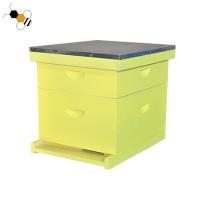 China Two Layer Yellow Painted Langstroth Beehive For Bee Farm for sale