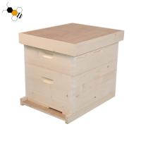 China Durable 10 Frames 20mm Thick Pine Wooden Bee Hive 2 Layers for sale