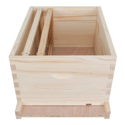 Cina Il legno 10 dell'abete incornicia densamente la scatola 20mm Honey Langstroth Beehive dell'ape in vendita