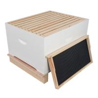 China Plastic Frame 20mm Thick Pine Beekeeping Beehive With Foundation for sale