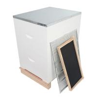 China Plastic Frame 20mm Thick Pine Beekeeping Beehive With Foundation for sale