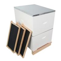 China Plastic Frame 20mm Thick Pine Beekeeping Beehive With Foundation for sale