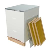 China 20mm Thickness Plastic Frame Complete Bee Hive Kit With Foundation for sale