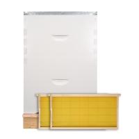 China 20mm Thickness Plastic Frame Complete Bee Hive Kit With Foundation for sale
