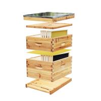 China 10 Frames Langstroth 2 Layers Complete Beehive Wax Coated For Beekeeping for sale