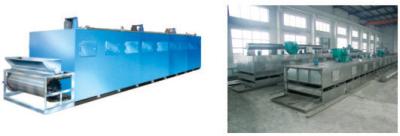 China DW Single-layer Mesh-Belt Drier for sale