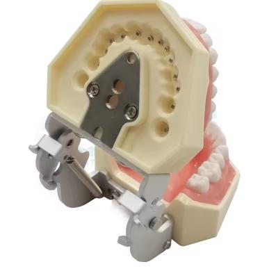 Cina 28 Modello dentale per la scuola di odontoiatria e inserimento di viti Durata di conservazione 2 anni in vendita