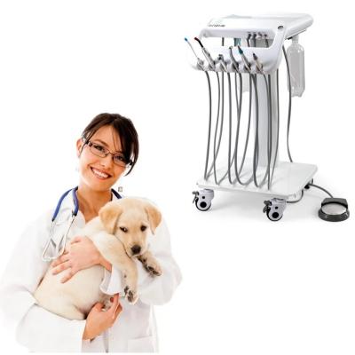 China High End Veterinary Workbench for Small Animals Dental Equipment with Surgical Instruments for sale