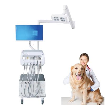 China Portable Dental Unit Veterinary Medical Equipments Animal Dental Operation Trolley with Air Compressor and Surgical Light for sale