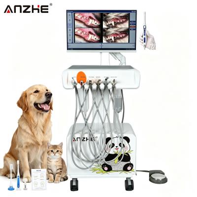 China Portable All in One Veterinary Dental Workstation with HD Oral Camera Silent 38dB Oil free Compressor and Integrated Suction System for Pet Hospital and Animal Clinic for sale
