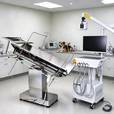 China High Resolution Veterinary Digital Intraoral X Ray Sensor with Plug and Play Installation and IP67 Waterproof Dustproof Design for Pet Dental Imaging for sale