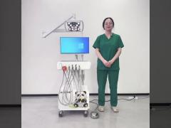 Veterinary Dental Treatment Unit All-in-One System with HD Intraoral Camera LED Butterfly Lamp