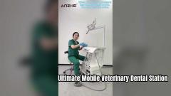Panda Version Mobile Veterinary Dental Treatment Station with 8-Light  Lamp | Model AP201-5