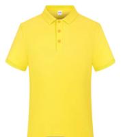 China Short-sleeved work clothes customized Polo shirt for sale