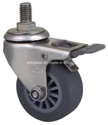 Cina Stainless 2