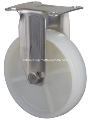 Cina Inossidabile 5