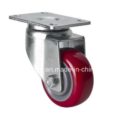 Cina Edl Medium 3