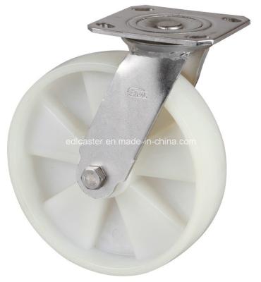 Cina Stainless 8 