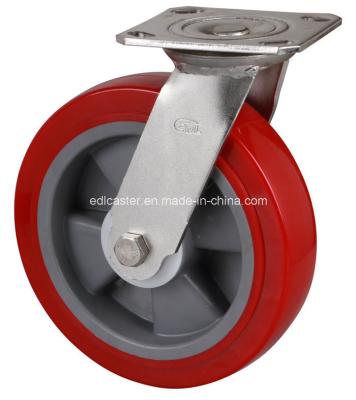 Cina Stainless 8