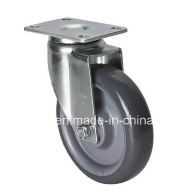 Cina Edl Medium 5
