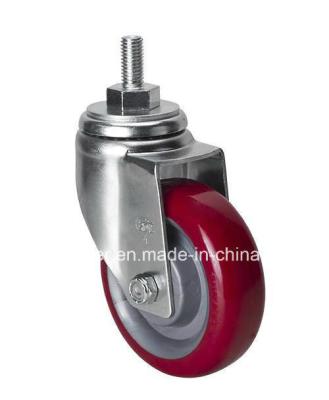 Cina Edl Medium 4