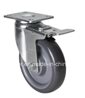 Cina Edl Medium 5