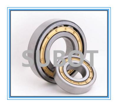 Cina Cuscinetto a rulli cilindrico in Gcr15 Nu2220 Nu2224 Nu2226 Nu2228 Nu2230/M/Etn1 in vendita