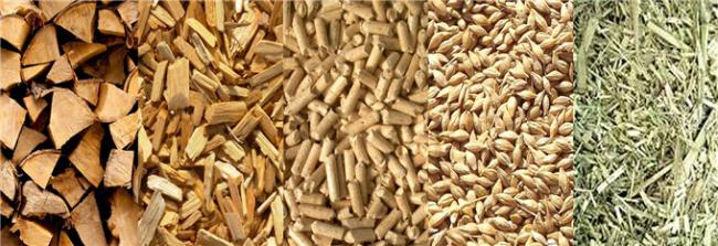 Energy Efficient and Environmentally Sustainable Biomass Boiler Green Retrofit Construction