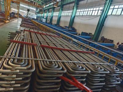 중국 맞춤형 디자인 뱀장어 튜브 보일러 구조 슈퍼 히터 및 재 히터 판매용