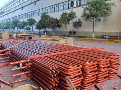 Cina Serpentina surriscaldatore per centrale elettrica resistente alle alte temperature - Circolazione naturale in vendita
