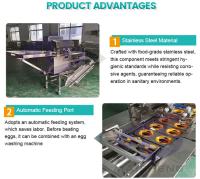 China Automatic Egg Shell Crushing Machine Eggs Breaker Separator Egg White and Yolk Separating Machine for sale