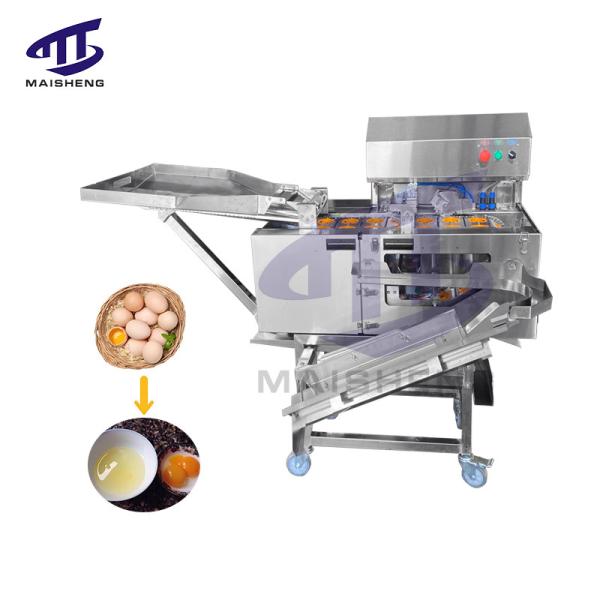 Quality Stainless Steel Industrial Egg Breaking Machine Egg Separator Egg White and Yolk for sale