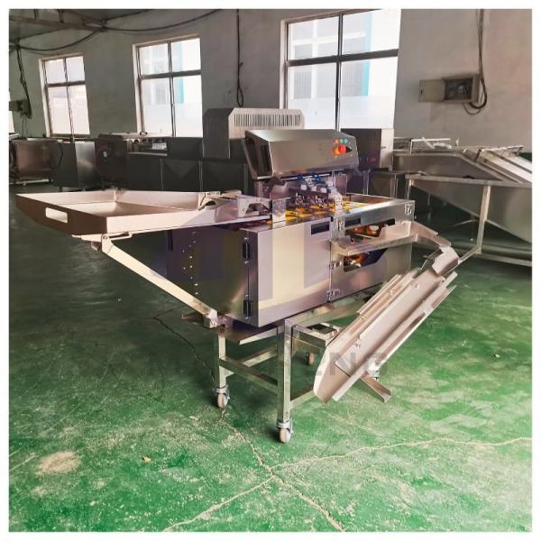 Quality Stainless Steel Industrial Egg Breaking Machine Egg Separator Egg White and Yolk for sale