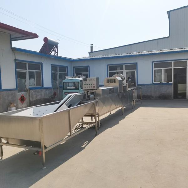 Quality Maisheng Automatic Egg Washing Equipment Highly Automated Egg Cleaning Machine for sale
