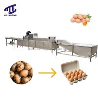 Quality Maisheng Egg Washing Equipment Line Egg Washing Drying Grading Machine Egg Brush for sale