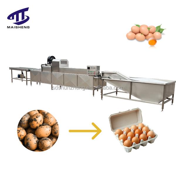 Quality Maisheng Egg Washing Equipment Line Egg Washing Drying Grading Machine Egg Brush for sale
